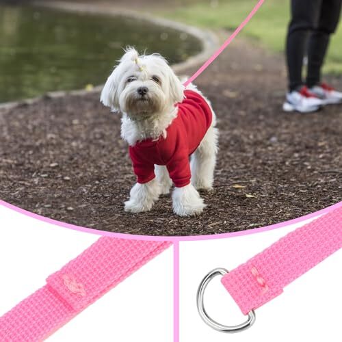 6 Pcs Bulk Pack Slip Leads Dog Pet Grooming Kennel Small Animal Control ...