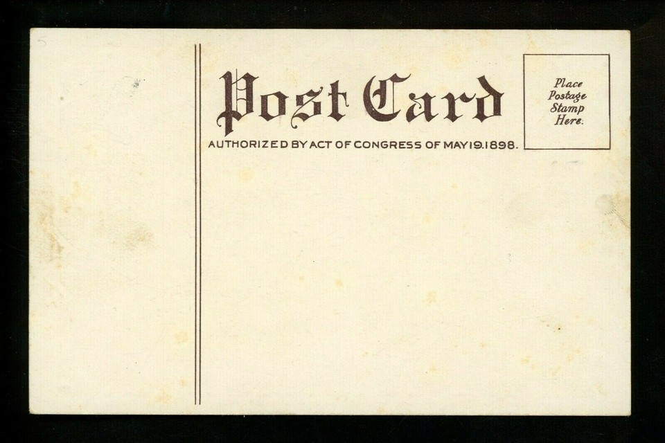 Novelty postcard Word mystery puzzle greetings card cat kitten embossed ...