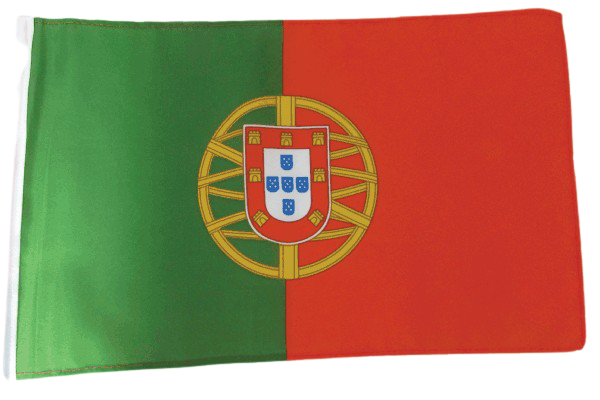 Courtesy Flag 1.5ft x 1ft Sleeved Polyester 180+ designs FREE P&P | eBay UK