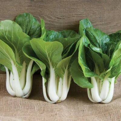 BOK CHOY WHITE STEM 100+ Seeds HEIRLOOM Vegetable Garden buk pak choi ...