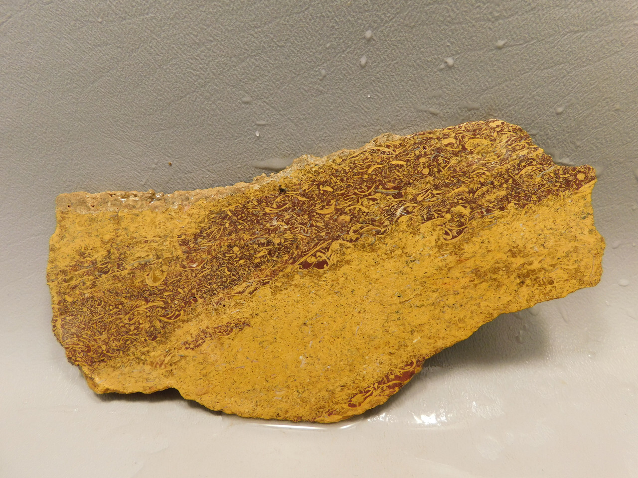 Coquina Jasper Lapidary Rough Rock Script Stone Slab Cabbing #O1 | eBay