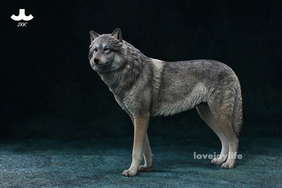 JXK 1/6 Arctic Wolf Model Canis Lupus Arctos Figure Wild Animal ...