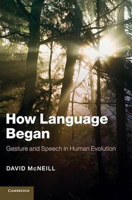 How Language Began: Gesture and Speech in Human Evolution by David ...