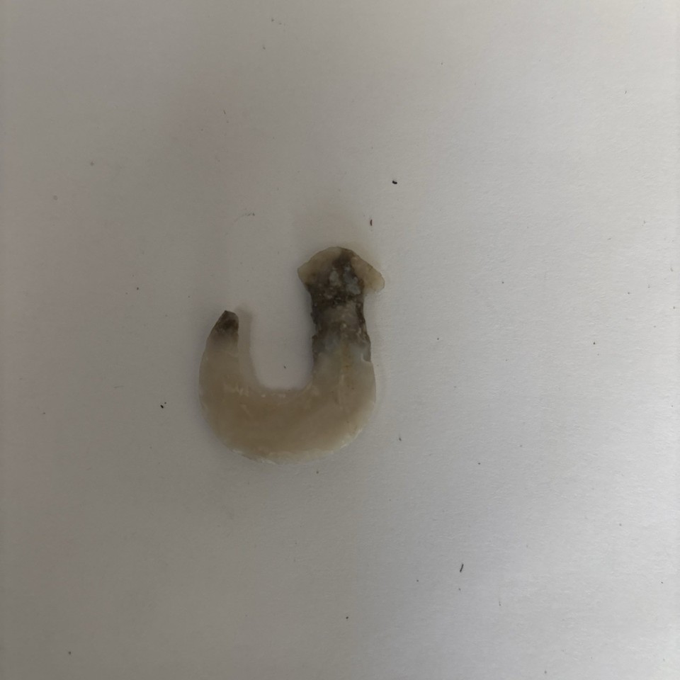 Indian Artifact Flint Fish Hook Arrowheads | eBay