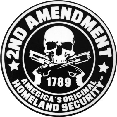 2nd Amendment 1789 America Original Homeland Security Skull Laptop ...