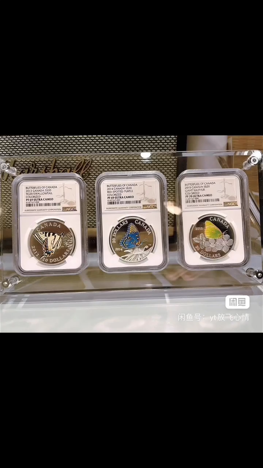 CUSTOMIZE Crystal Acrylic Wall Display Frame For ANACS/NGC/PCGS Coin ...