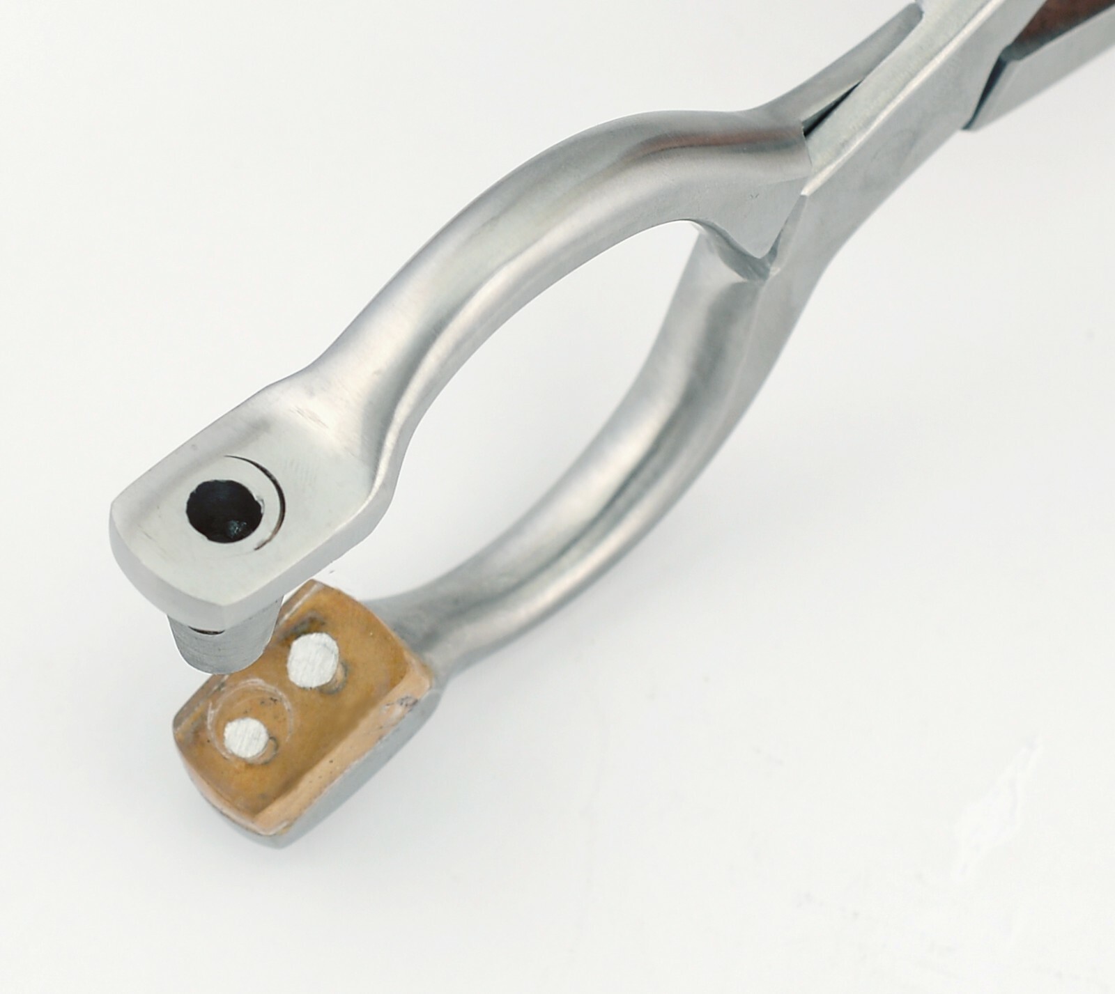 Bull Nose Ring Punch Pliers Cattle Bulls Cows Handling S. Steel ...