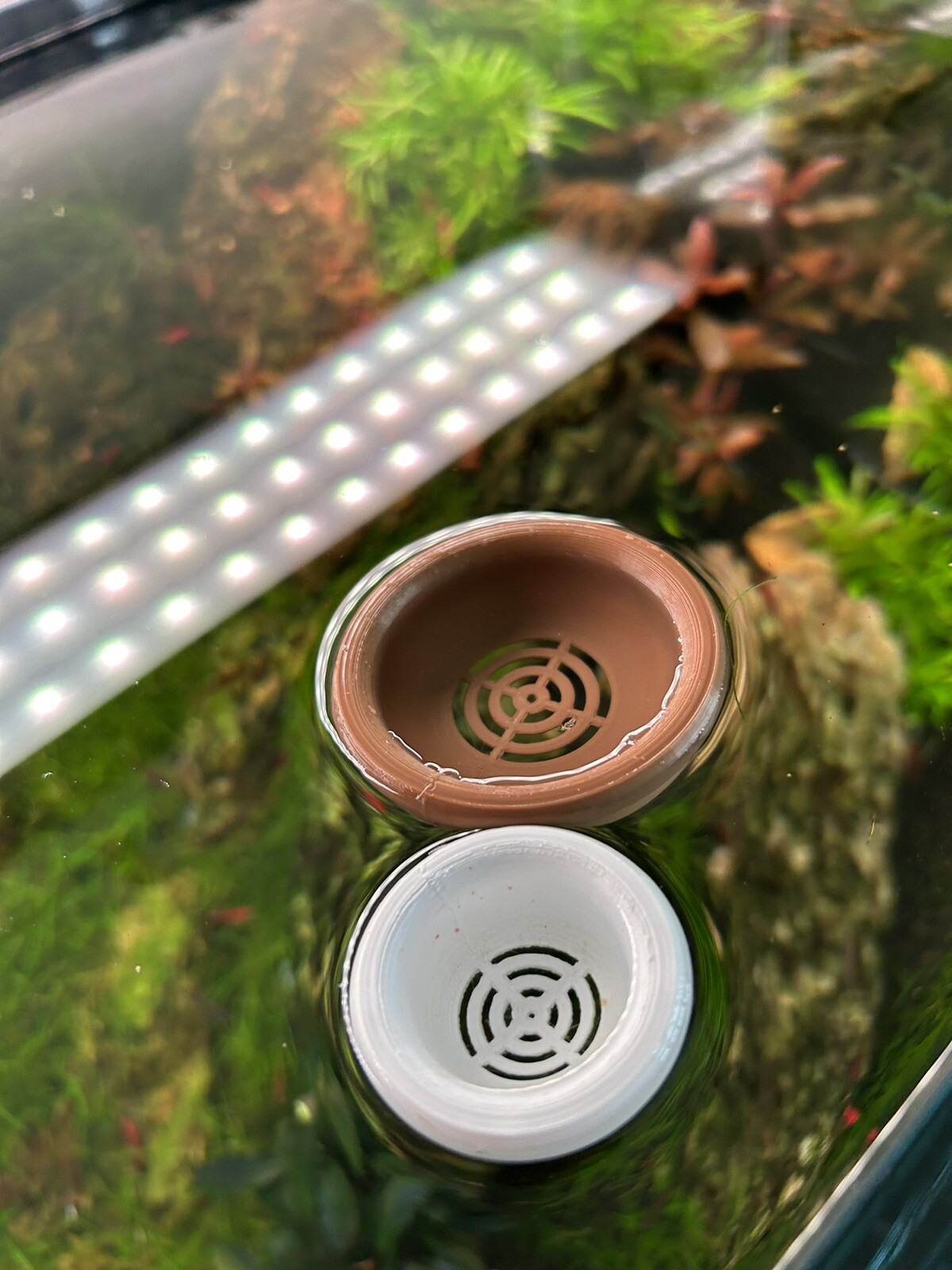 FLOATING Fish Feeder Aquarium Fish Tank Bloodworm Brine Shrimp Frozen ...