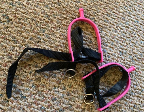 Shires Equestrian Plastic Ball End Spurs Pink w Straps Size Adult | eBay