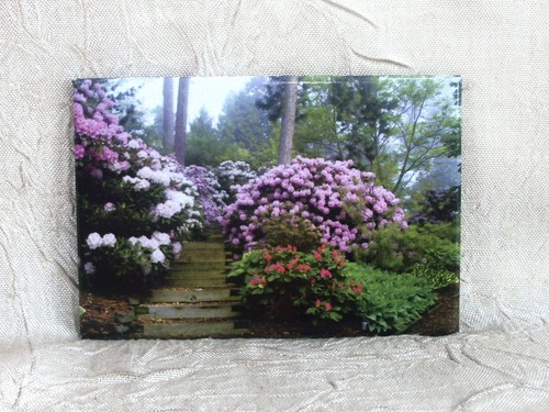 Cornell Botanic Garden Souvenir Metal Magnet Ithaca New York Cornell ...