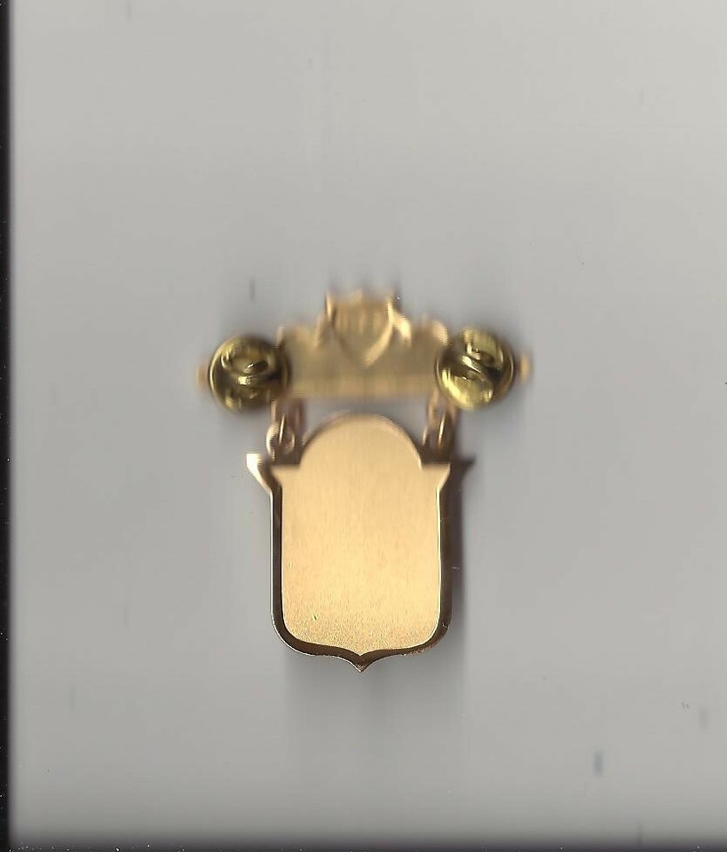 US Army Distinguished Rifleman Marksman Badge in gold USA Made | eBay