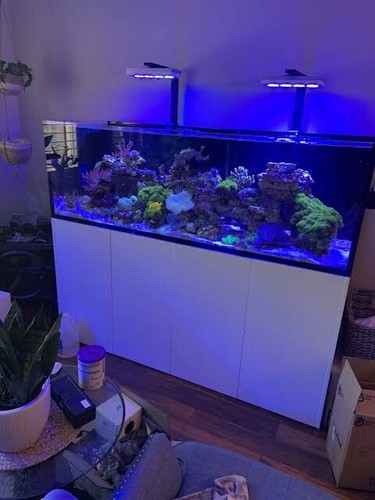 AI hydra 52 HD - White LED light For Marine Reef Tank Coral Salt Water ...