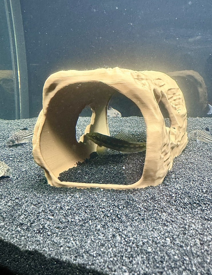 Aquarium Cave Tree Log Fish Tank Aquarium Decor Hide Cichlid Cave ...