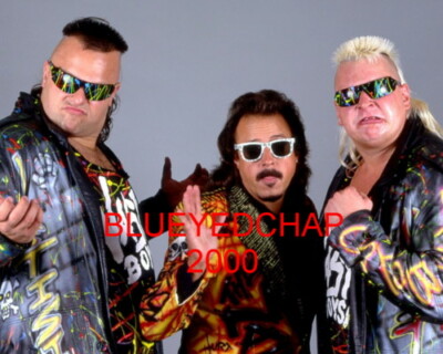 NASTY BOYS KNOBBS & SAGS & JIMMY HART WRESTLER 8 X 10 WRESTLING PHOTO ...