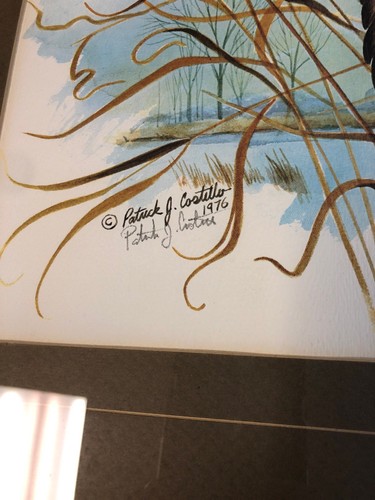 IOWA ART Patrick J Costello Limited Edition Framed Print Signed 479/600 ...