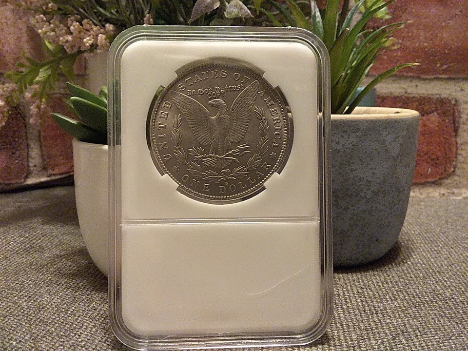 1895 Morgan Dollar Pluribus Unum Silver Dollar Copy Coin Framed In ...