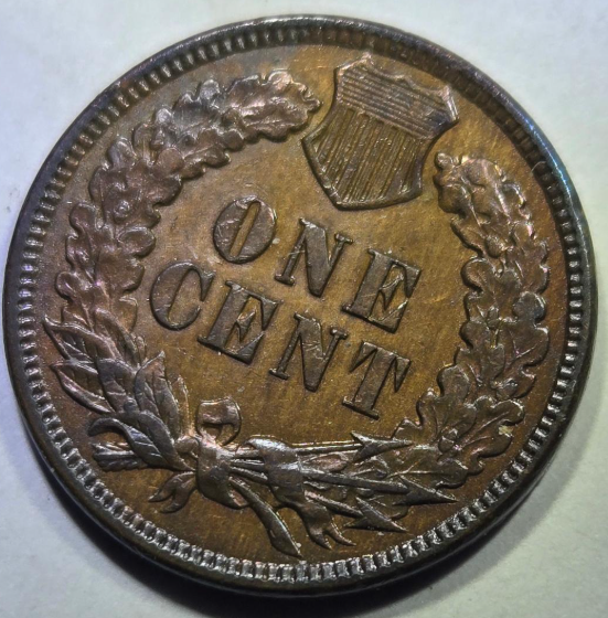 1895 Indian Head Penny MS Uncirculated HIGH GRADE | eBay