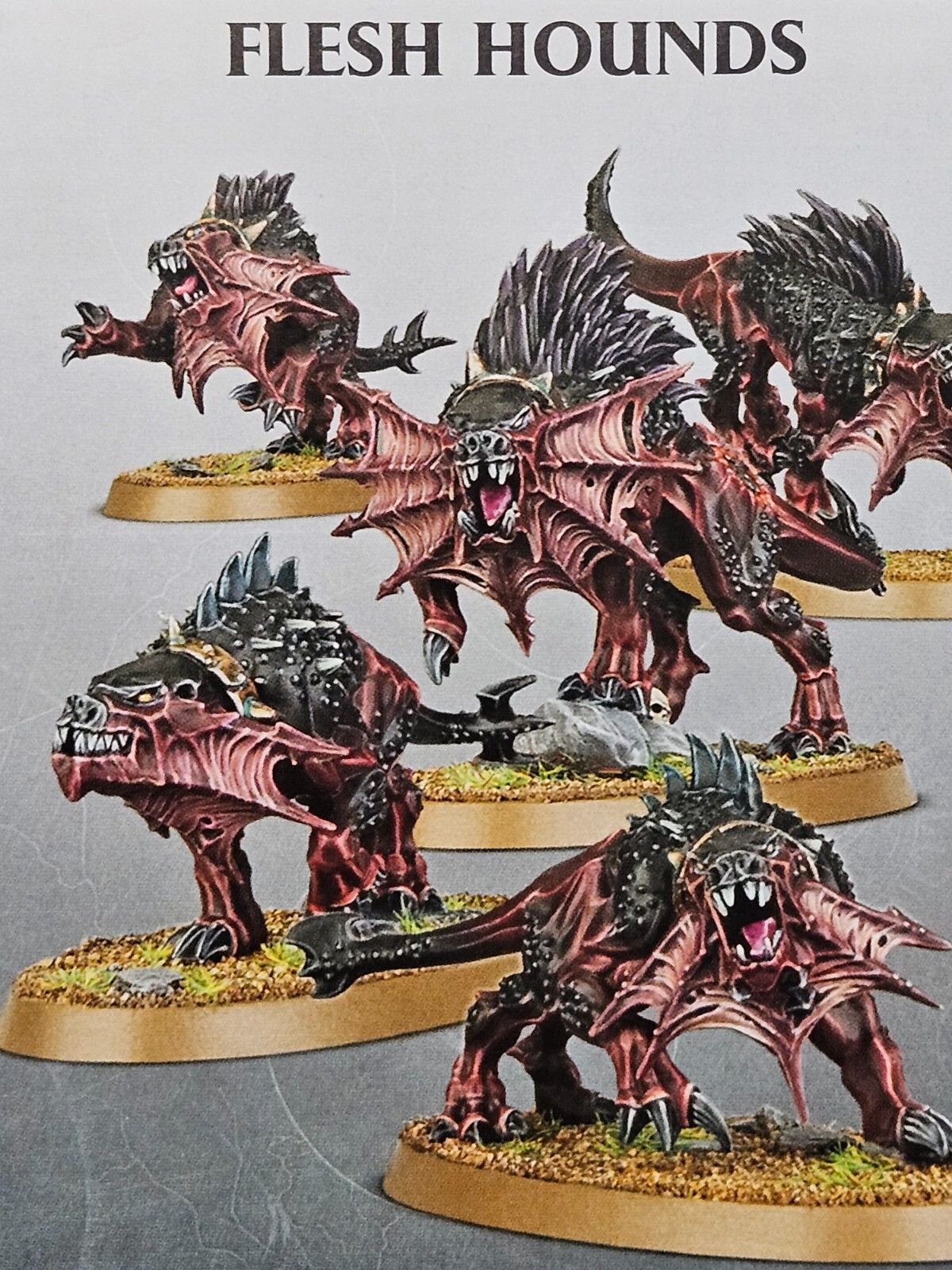 Warhammer 40k AoS Daemons of Khorne Flesh Hound single figure blind buy ...