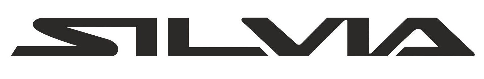 New 1988-1994 Silvia S13 Rear Badge Decal 240SX 200SX JDM SR20DET | eBay