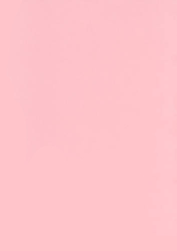 100 PASTEL PINK COLOUR 80gsm A4 COPIER INK JET LASER PRINTER PAPER ...