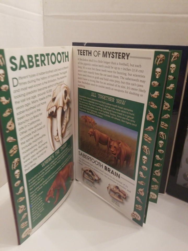 Scholastic Skulls Build And Display eight Different Animal Skull | eBay