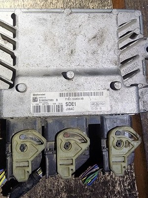 F1B1 12A650 XB Continental SDE1 J38AC EMS2102 S180047063B Ford ECU | eBay