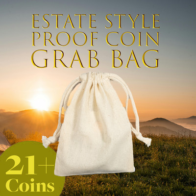 Estate Coin Grab Bag 21+ Coins: Silver, Proof, Wheat, Buffalo – Mystery ...