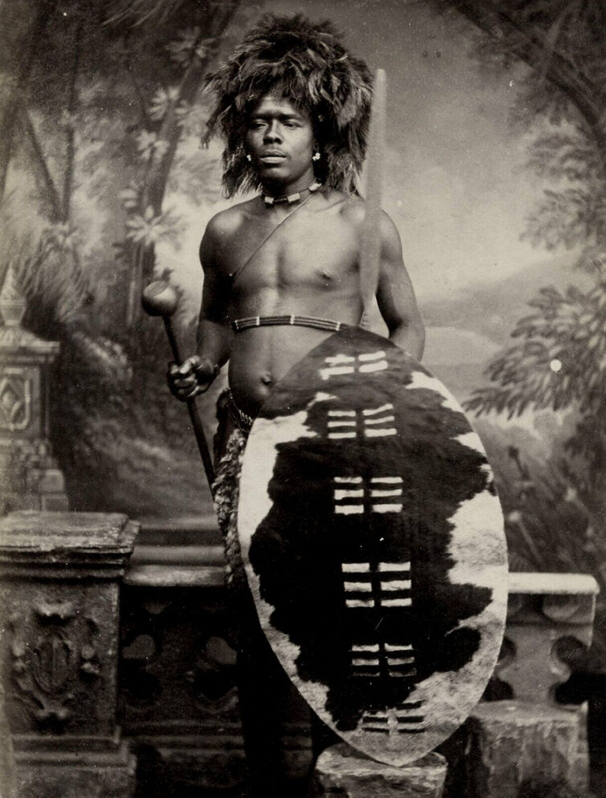 1880s ZULU WARRIOR African Tribes Man with Shield Classic Poster Photo ...