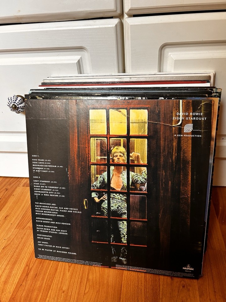 The Rise and Fall of Ziggy Stardust and the Spiders from Mars by David ...