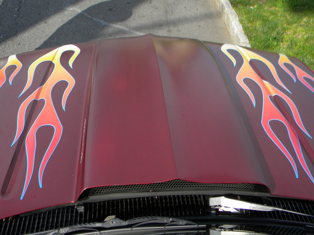 Universal Hot Rod Flame Decals 10pc Set for Chevy Ford Dodge Mopar Rat ...