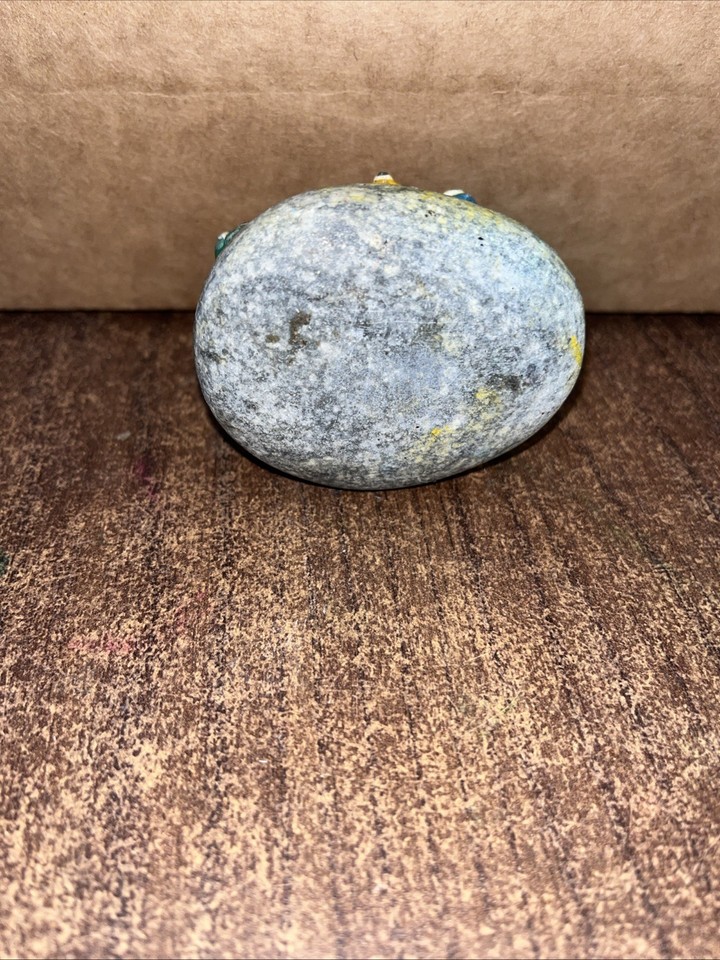 VTG Retro 70’s Pet Rock "ROCK CONCERT" Paperweight MCM Hand Painted | eBay