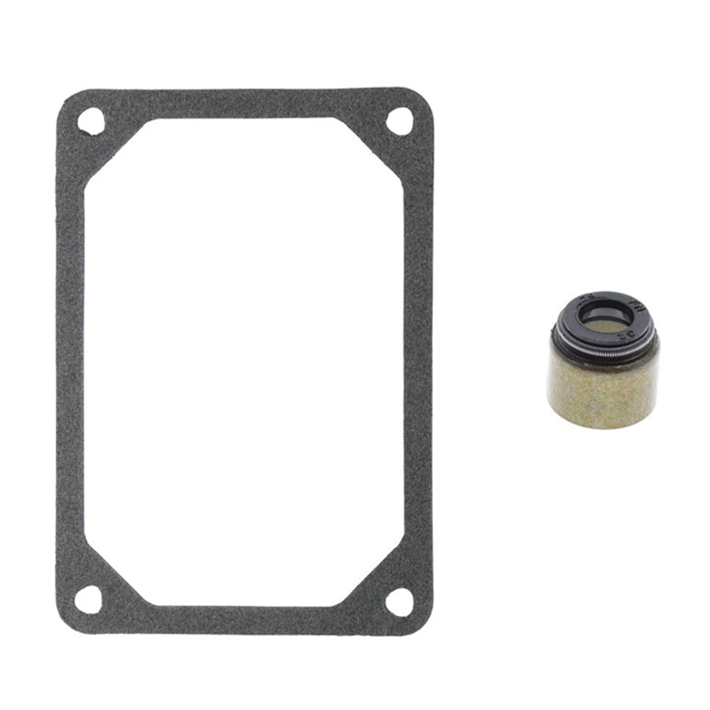 Valve Gasket Set For Craftsman T1600 Lawn Tractor & For Briggs Stratton ...