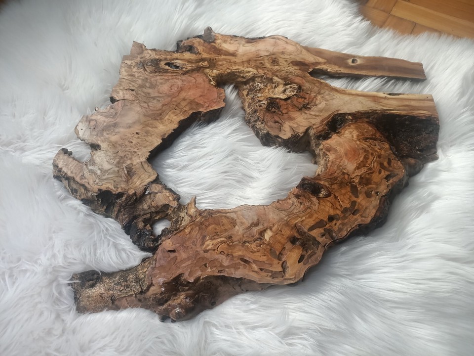 Live Edge Olive Root Slab for DIY and Epoxy Table, Ready to be Resin ...