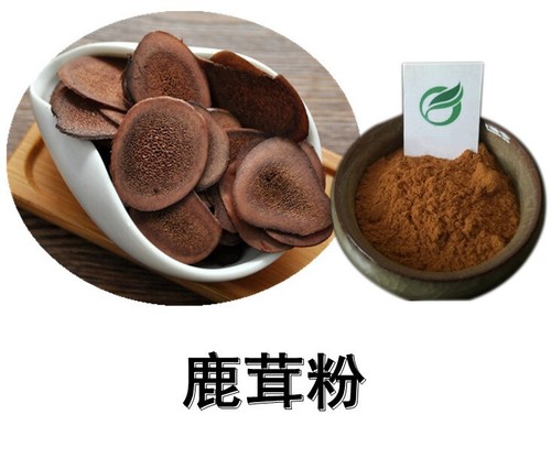 100g Deer Antler Velvet 20:1 Extract Powder Pure & High Quality Extract ...