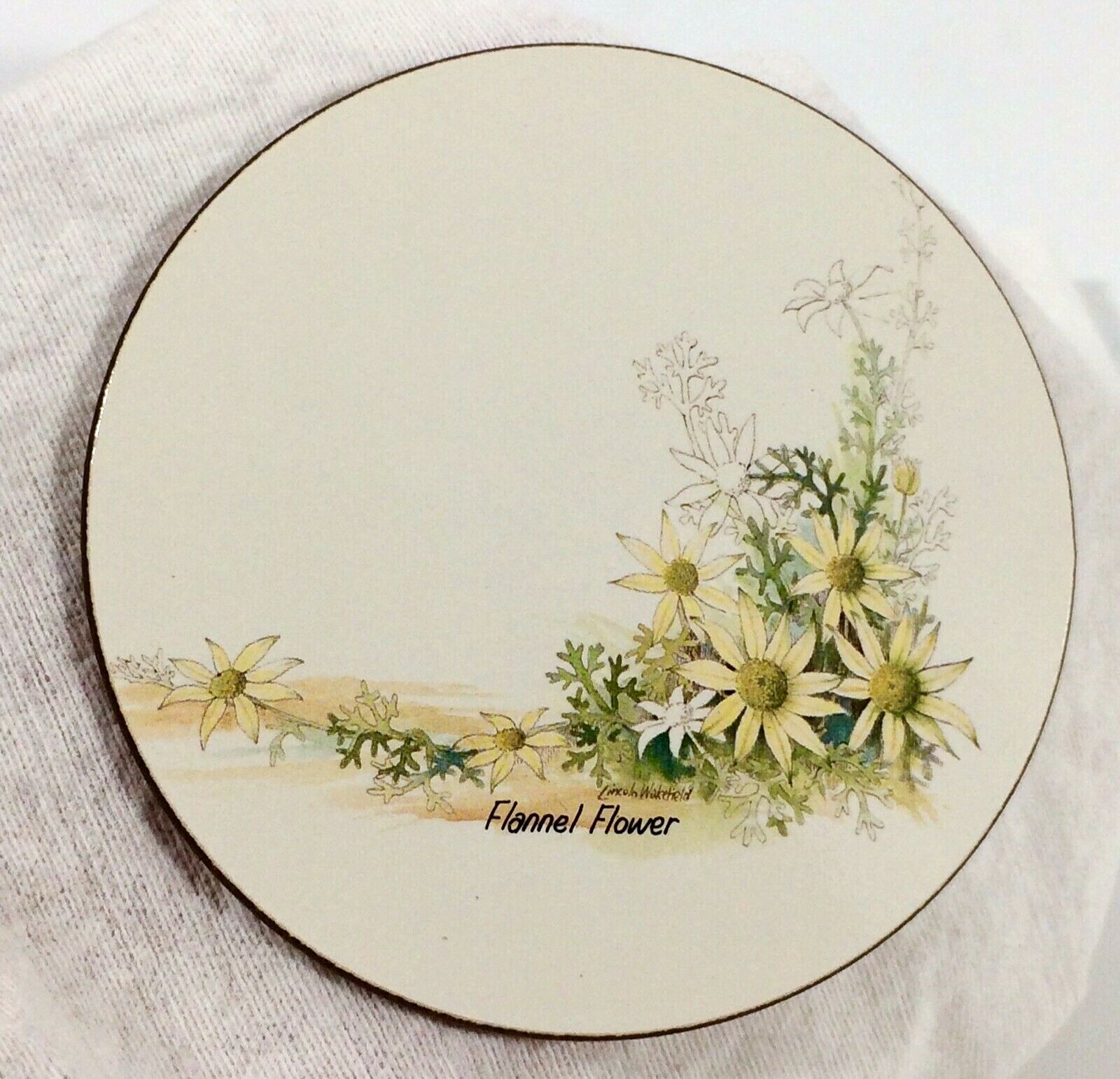 Vtg Jason Round Cork Coasters Australian Wild Flowers Set of 6 New ...
