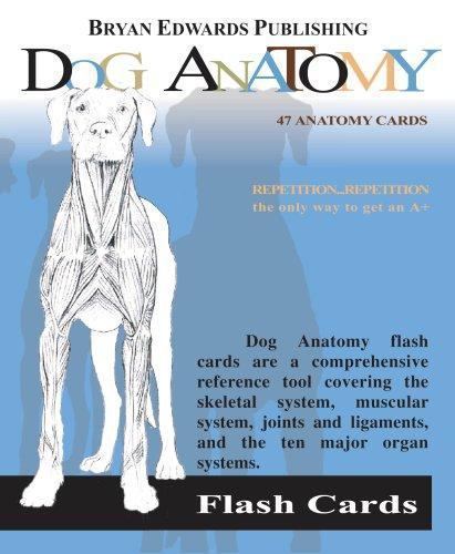Dog : Flash Cards by Flash Anatomy Staff (1998, Hardcover) for sale ...
