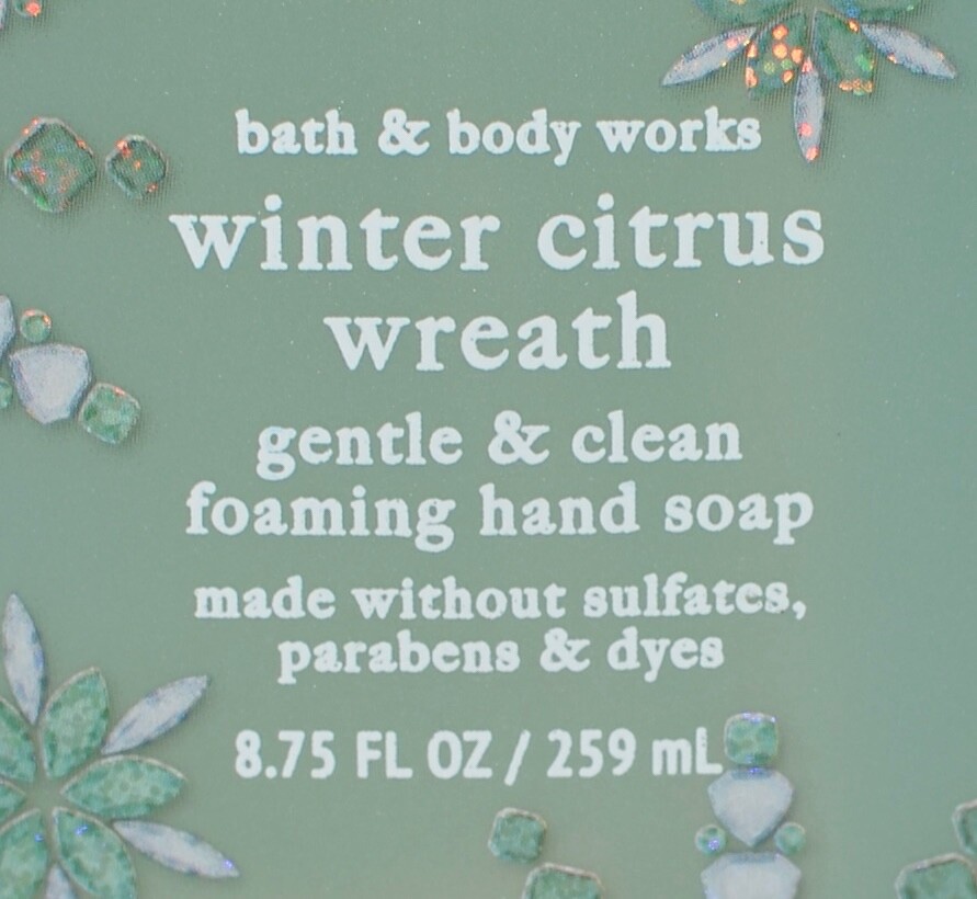 1 NEW BATH & BODY WORKS WINTER CITRUS WREATH GENTLE CLEAN FOAMING HAND ...