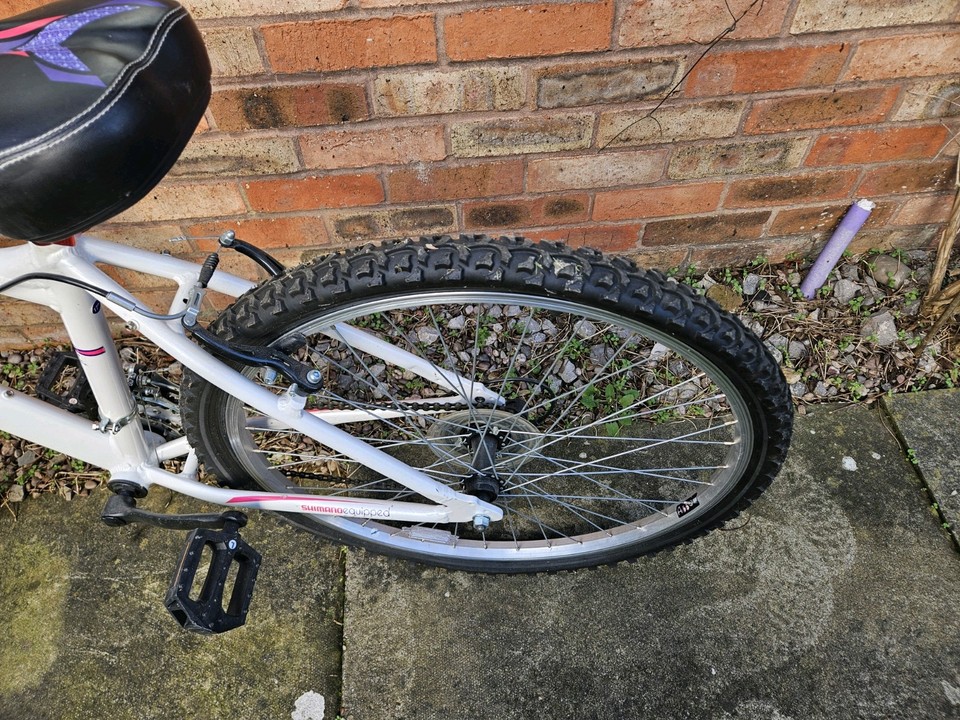 Apollo Jewel Ladies Mountain Bike 20" | eBay UK