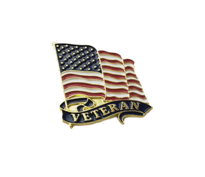 Deluxe Gold Veteran USA flag hat lapel pin Veteran's Day Military ...