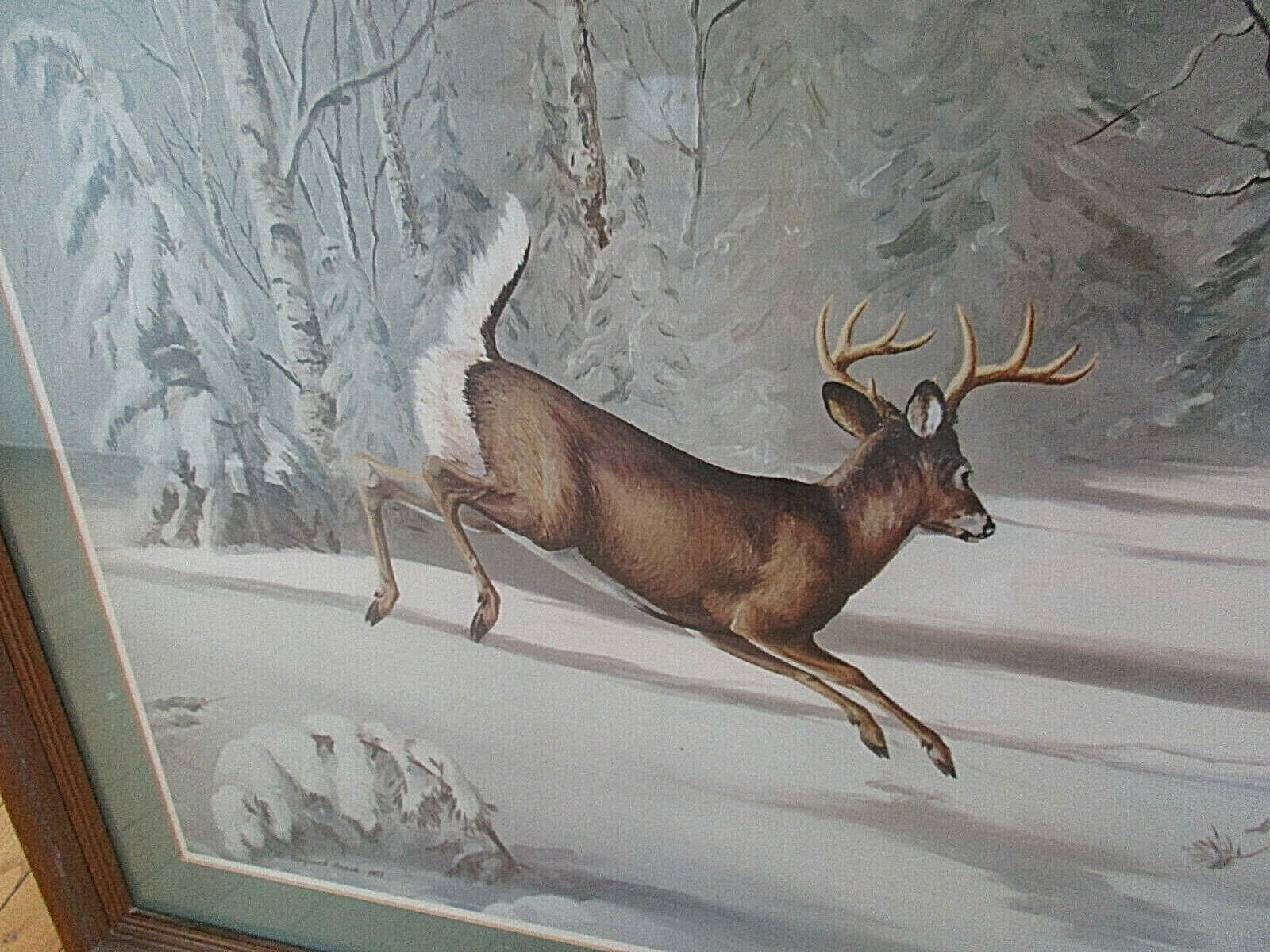 1977 Maynard Reece New Snow "Forest Flight" Whitetail Deer Framed Print ...