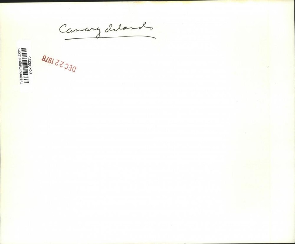 1978 Press Photo The Winter Festival of Tenerife in Canary Islands ...