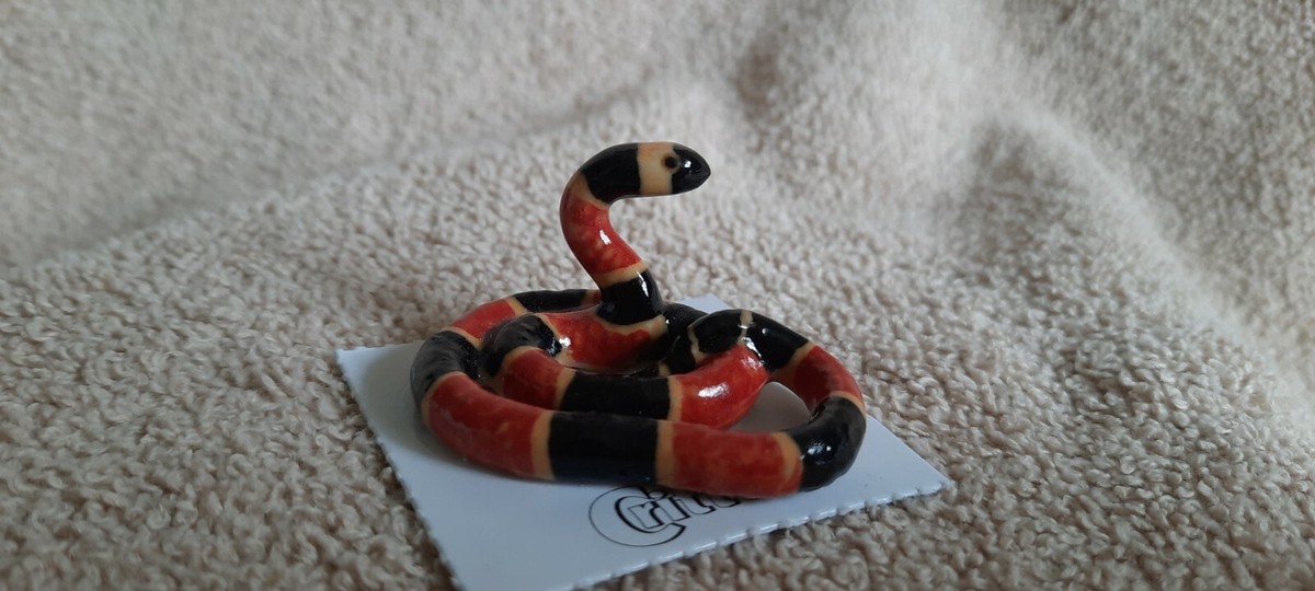 Coral Snake And Milk Snake Rhyme