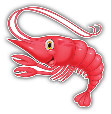 Cute Shrimp Cartoon Animal Car Bumper Sticker Decal - "SIZES" | eBay