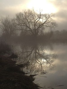 Anvard | eBay Stores