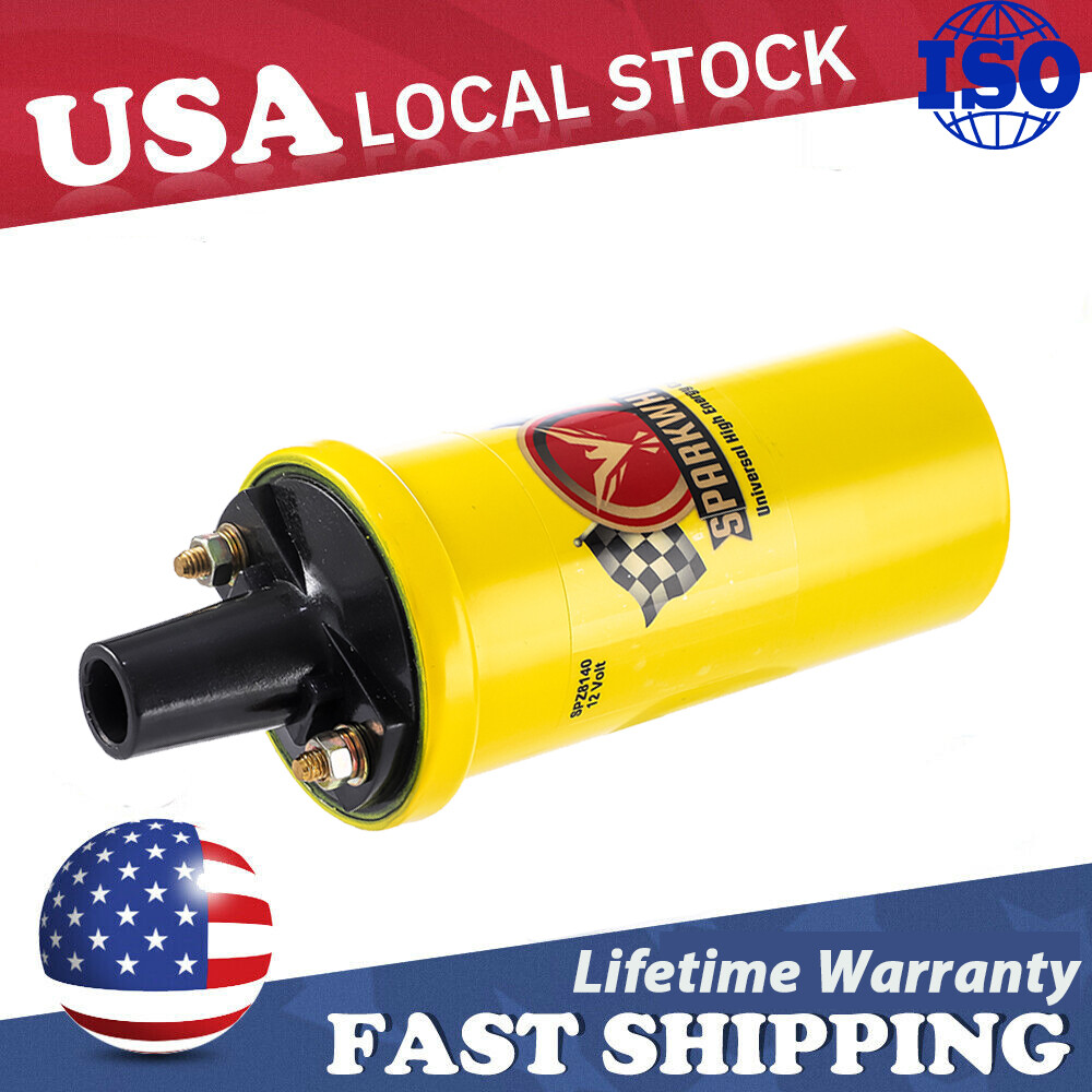 SPARKWHIZ Universal 12V Flame Thrower Ignition Coil Oil Filled 42,000V ...