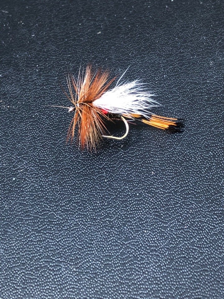 6 Size 16 ROYAL COACHMAN TRUDE PREMIUM LIGAS FLY FISHING FLIES | eBay