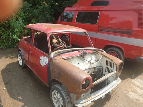 Austin Rover Mini | eBay UK