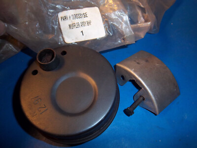 Murray Snapper Briggs 090331SE Muffler 8hp OEM MISSING BOLT BM7 | eBay