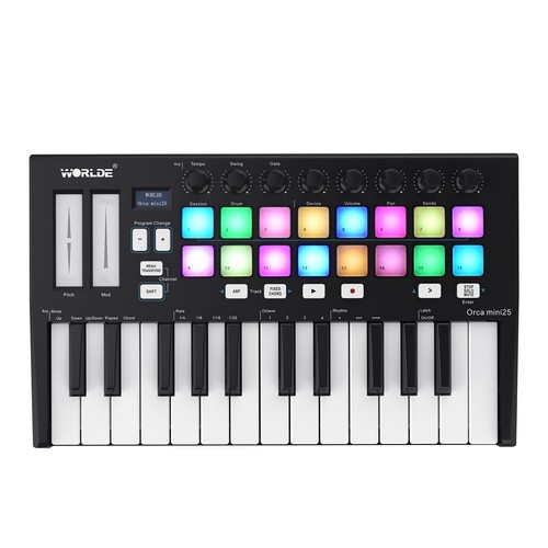 WORLDE Orca mini25 Portable 25- USB MIDI Keyboard Controller with 16 ...