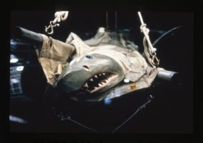 Jaws 3-D Killer Shark Model Close up Original 35mm Transparency Stamped ...